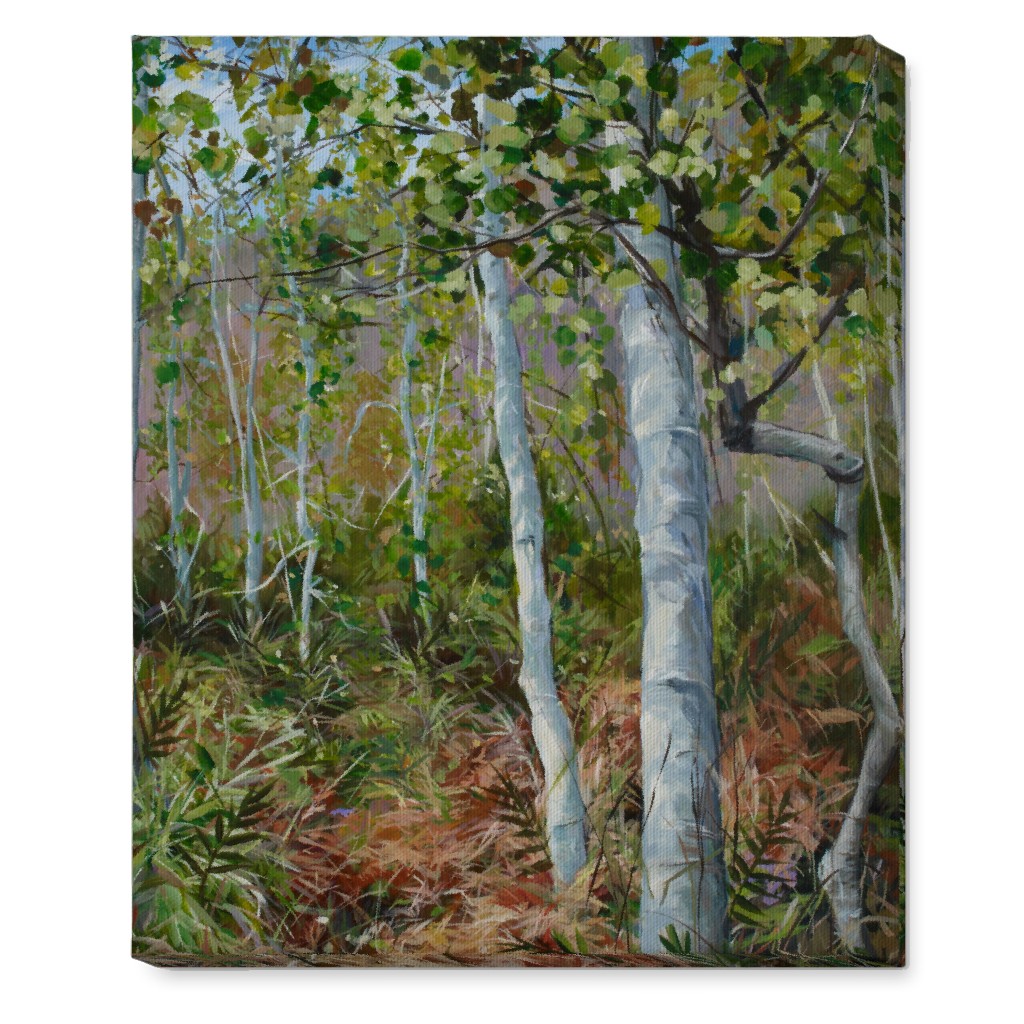 Quaking Aspen Painting Canvas Print | Shutterfly