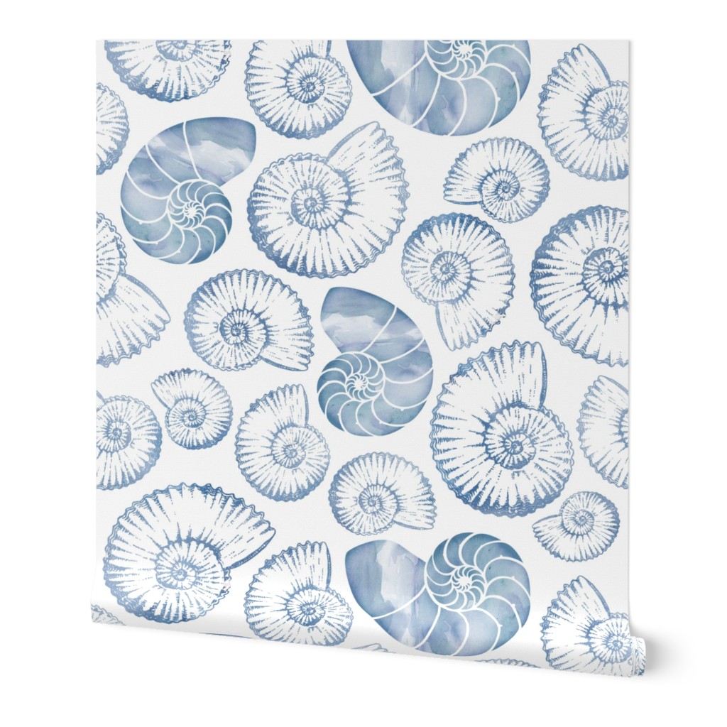 Nautilus Shells - Blue Wallpaper | Shutterfly