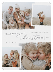 Family Of Trees 5x7 Personalized Foil Card by Petite Lemon | Shutterfly