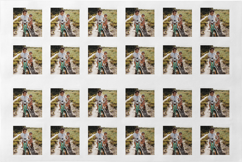 Gallery of One Removable Stickers by Shutterfly | Shutterfly