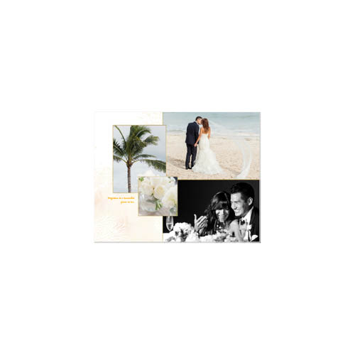 Beach Wedding Photo Book | Shutterfly
