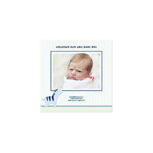 Classic Baby Boy Photo Book | Shutterfly