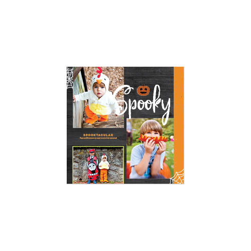 Frightfully Fun Photo Book | Shutterfly