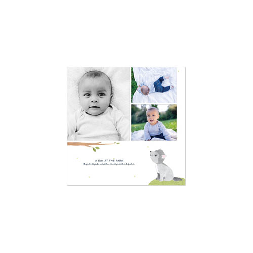Woodland Baby Photo Book | Shutterfly